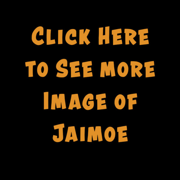 Jaimoe | Allman Brothers Book Photos